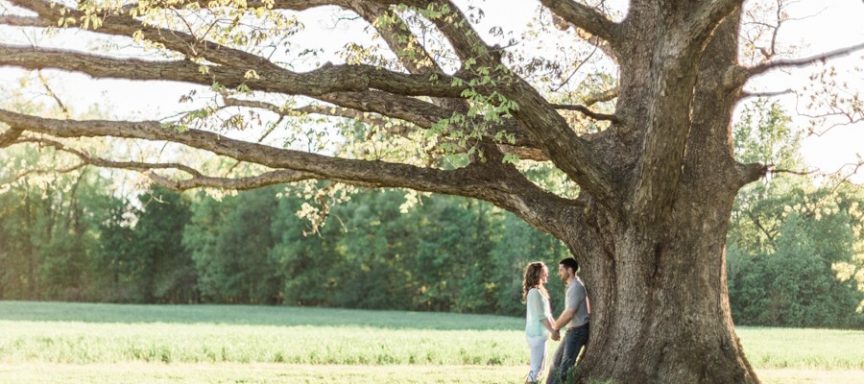 Trees, Love, and Marriage - Live View Studios