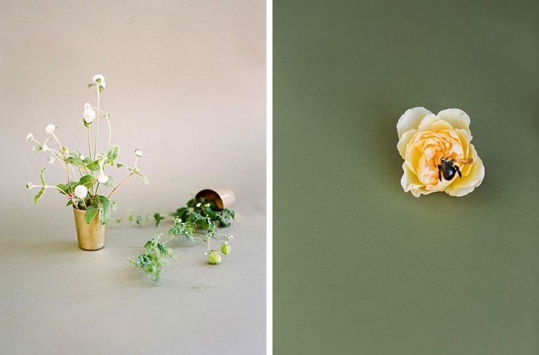 Floral Detail Editorial Styling - Live View Studios